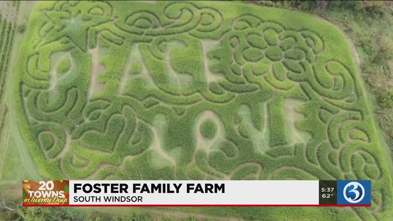 20 Towns: Foster Family Farm has something for everyone - YouTube