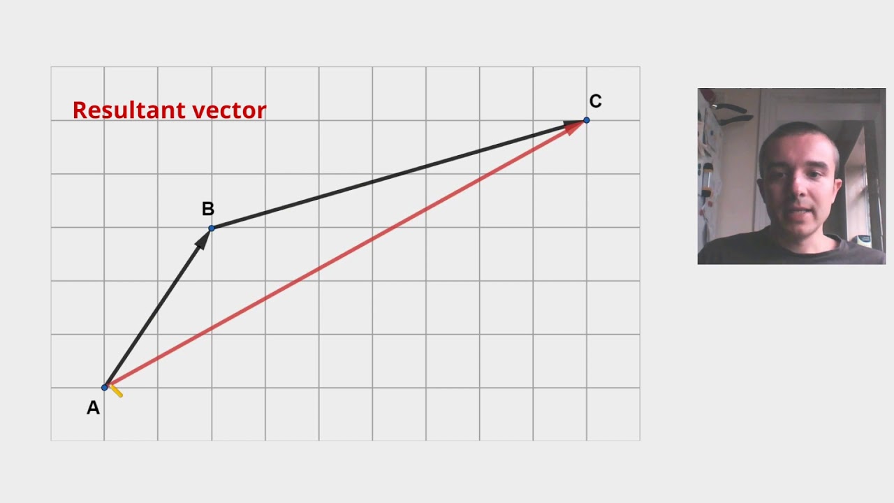 Vectors overview - YouTube