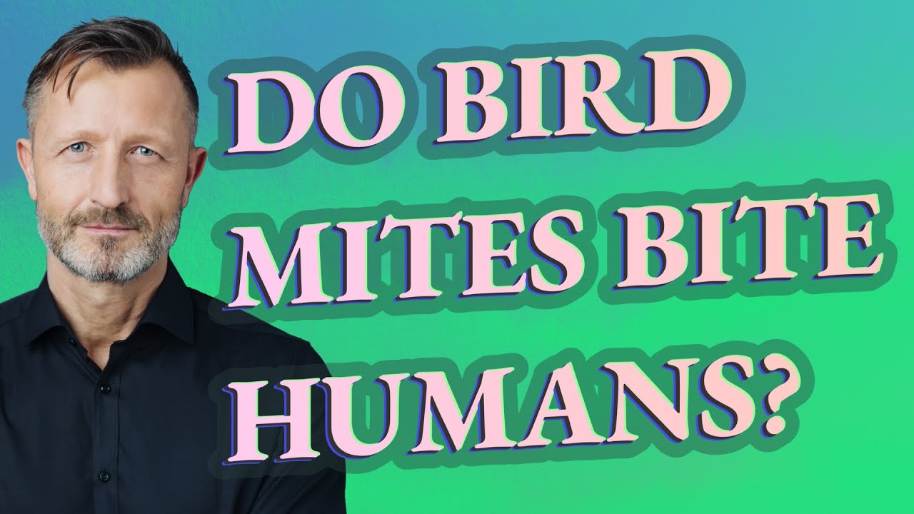 Do bird mites bite humans? - YouTube