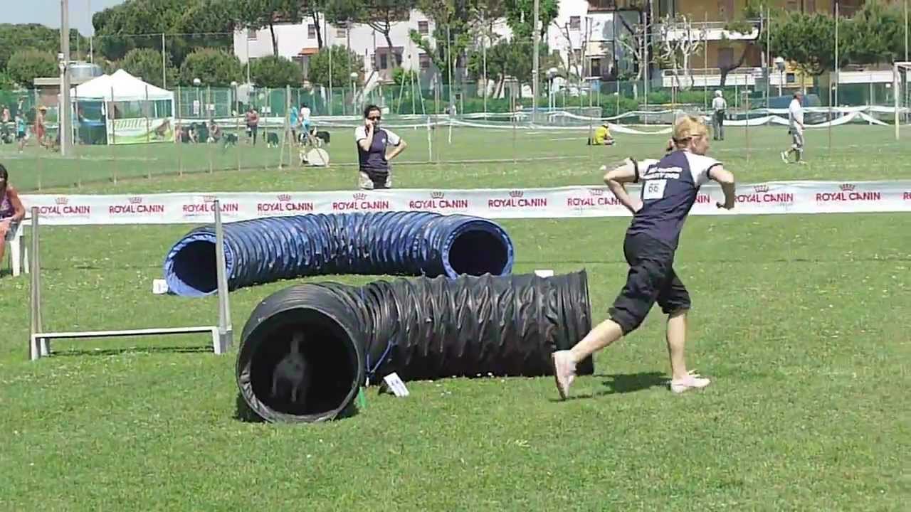 Jeanna e Freeda Agility Dog 12-05-12 Lido di Savio - Prova Jumping ...