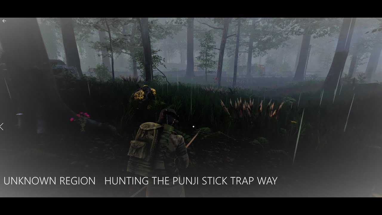 UNKNOWN REGION HUNTING THE PUNJI STICK TRAP WAY - YouTube