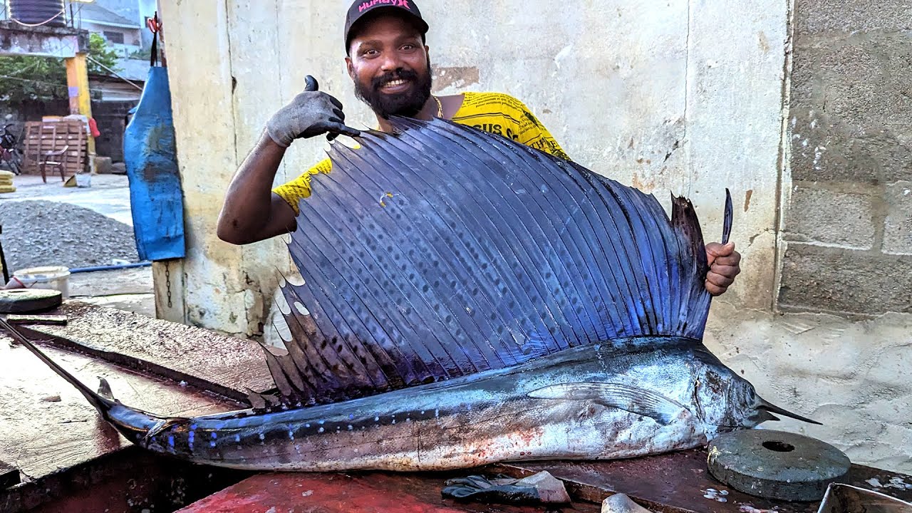 Ohhh!! Best The Fate Of Another Giant At Sea. SAILFISH CUTTING" Most ...