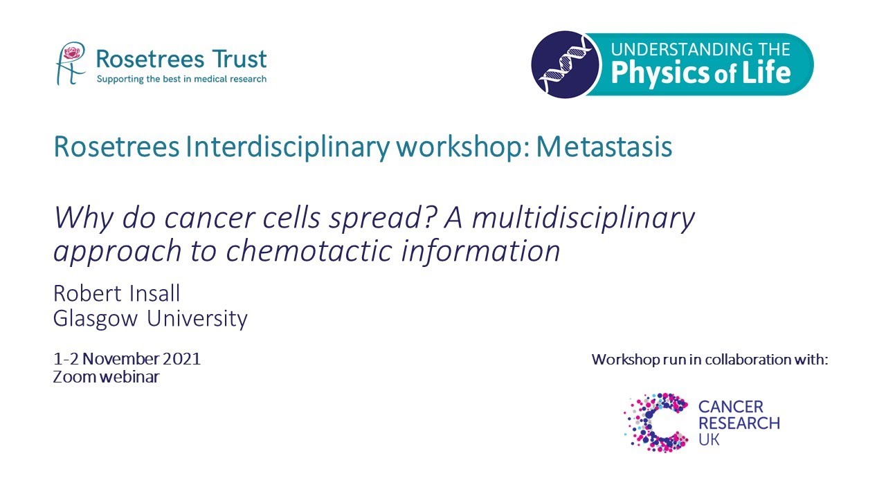 Robert Insall (Glasgow University) - YouTube