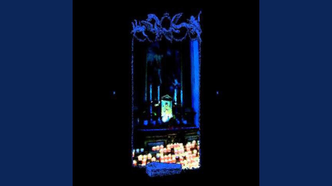 morning solvent - YouTube Music