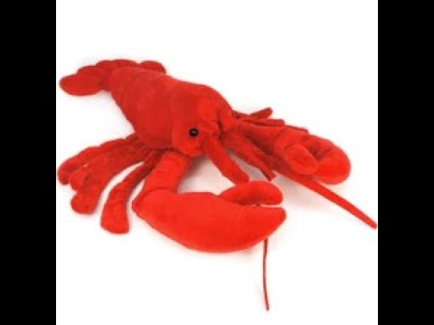 The sad and depressing tale of LARRY THE LOBSTER - YouTube