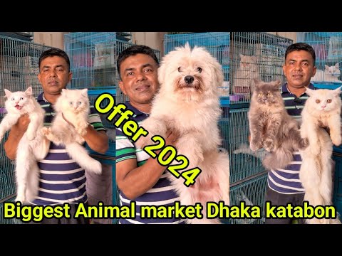 Biggest Animal market Dhaka katabon | Pretty birds Mamum Shop 23 Phone ...