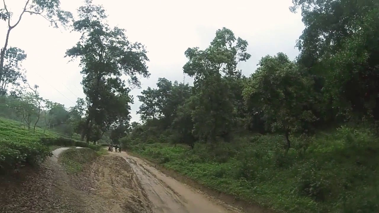 Adventure of Khadim Nagar National Park, Sylhet - YouTube