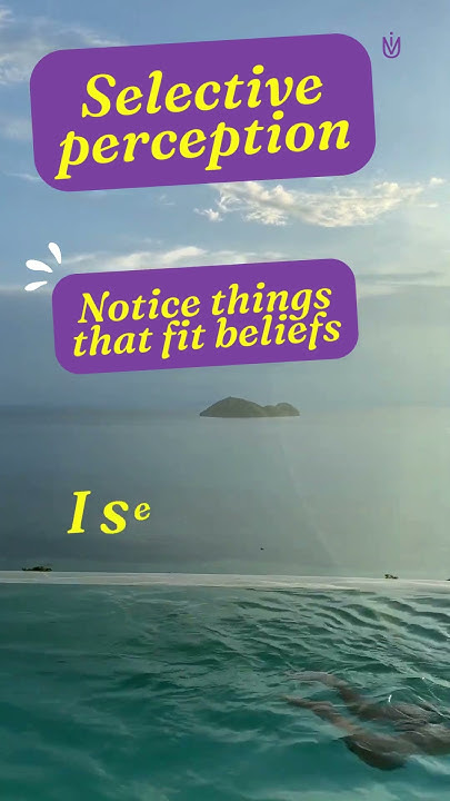 The Selective Perception Bias: How Our Beliefs Influence What We See ...