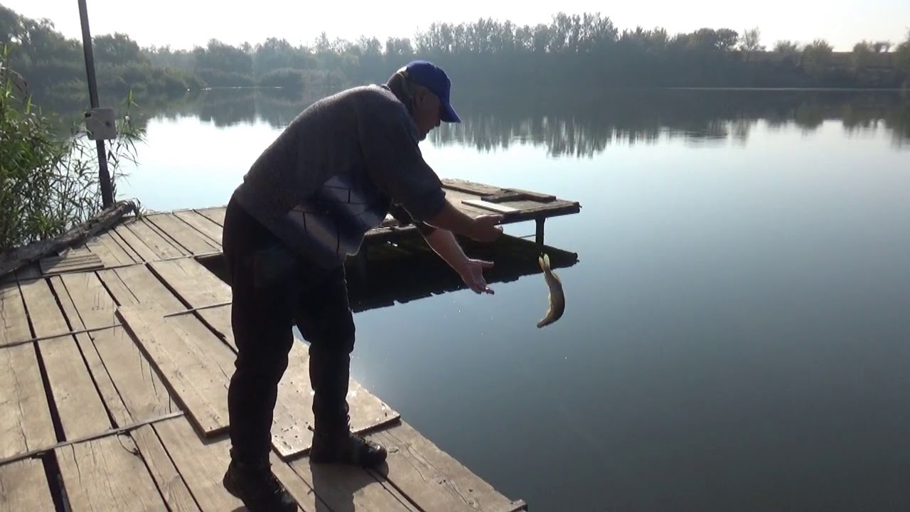 PESCUIT LA RAPITOR PE BALTA TANCABESTI 1 / 18.10.2019 - YouTube