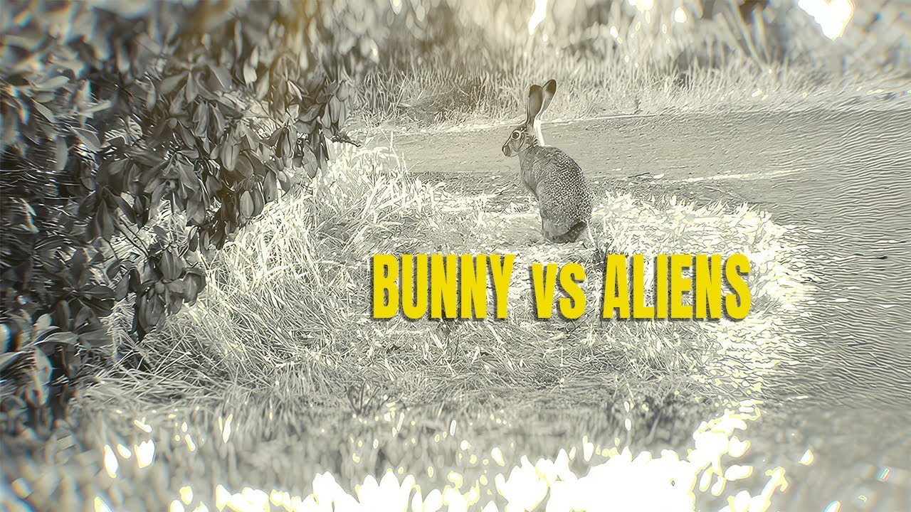 BUNNY vs ALIENS - YouTube