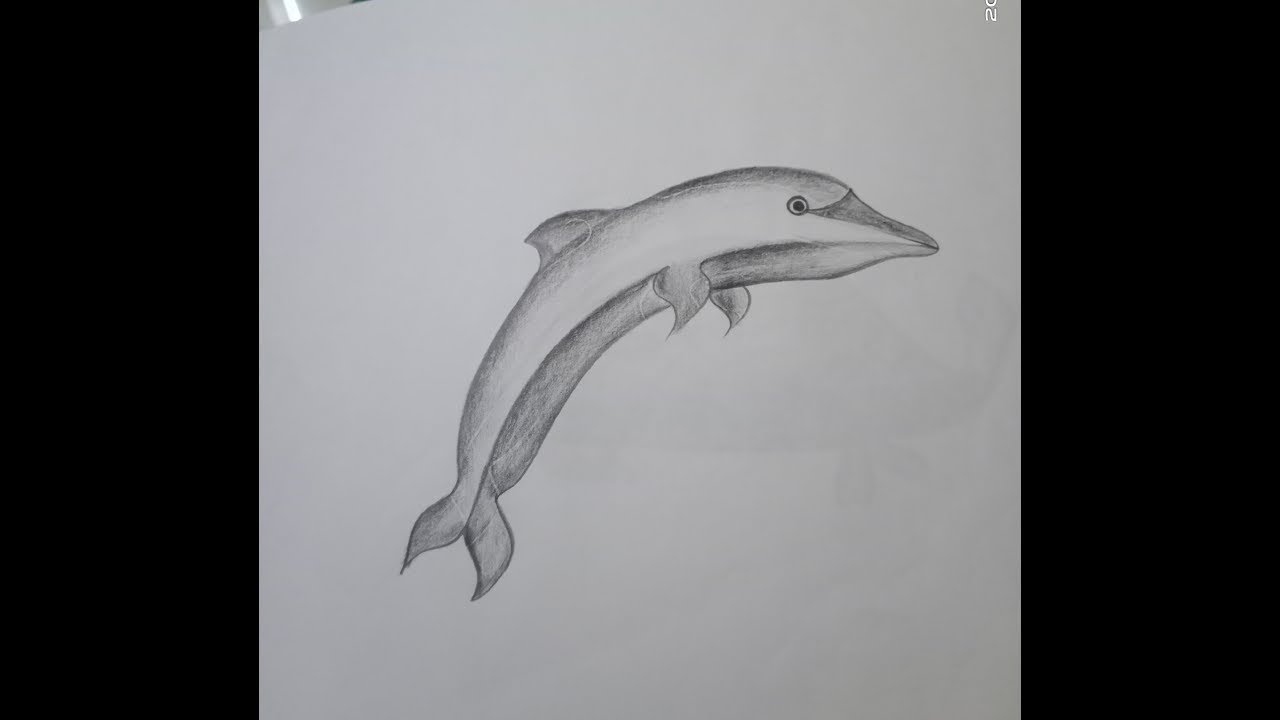 How to draw and shade Dolphin step by step for children // Easy Drawing ...