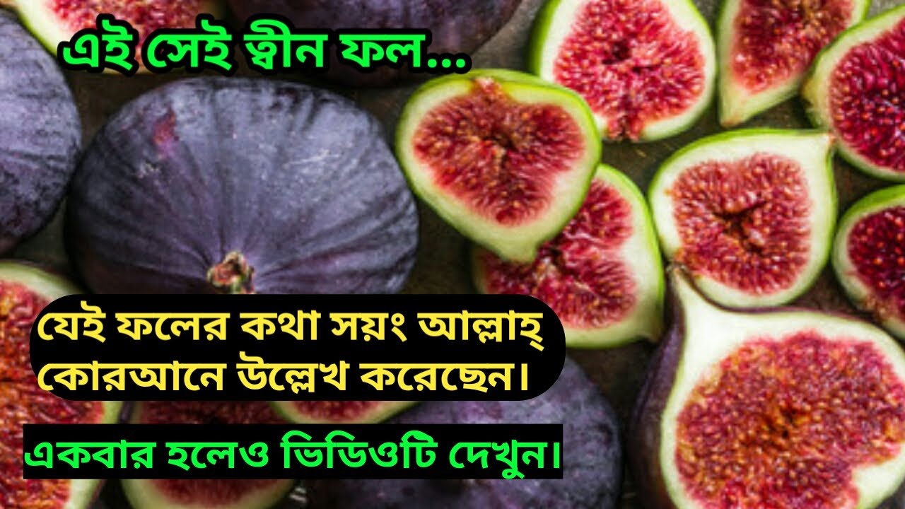 tin fruits. - YouTube