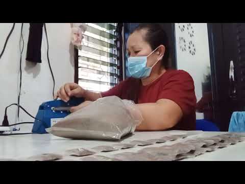 Repacking pepper for 24 hrs - YouTube