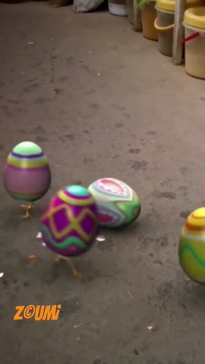 فقص بيض فيديو Ar 3d Youtube