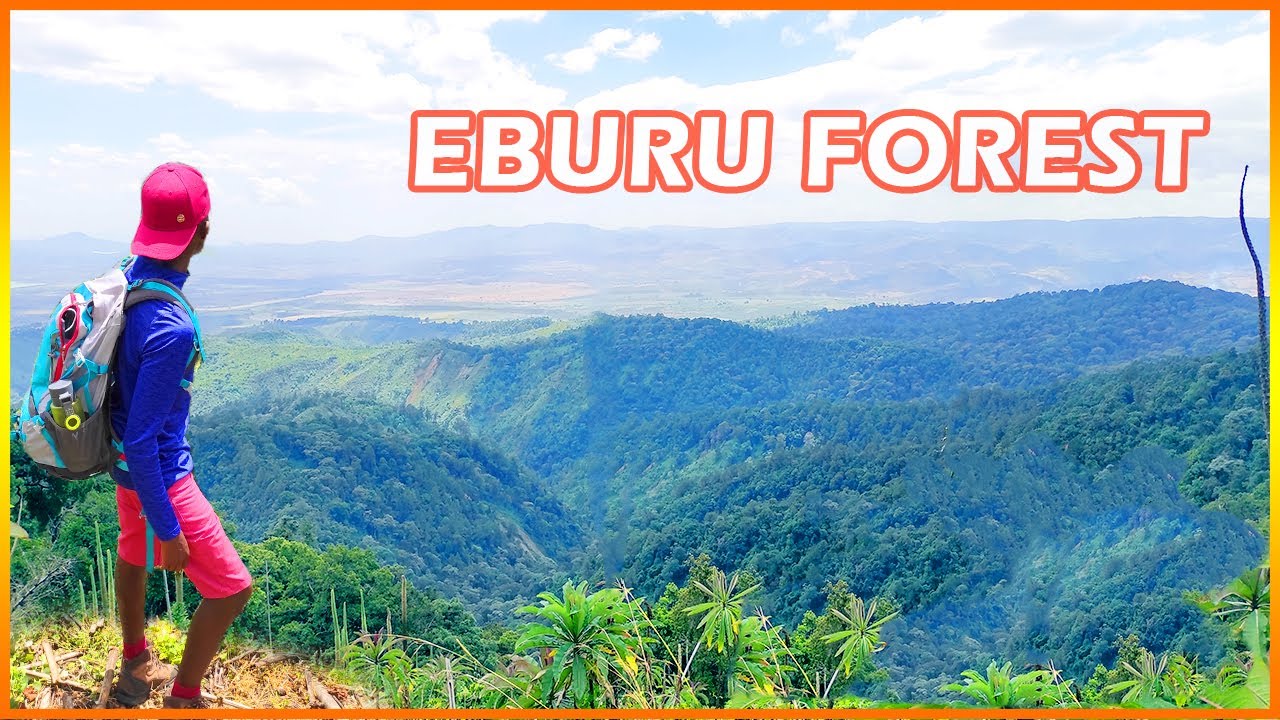 The Eburu Forest Expedition - YouTube