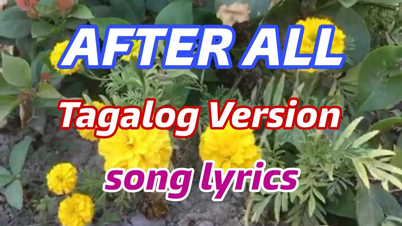 AFTER ALL Tagalog Version | Song Lyrics | Cover by TJ - YouTube Music