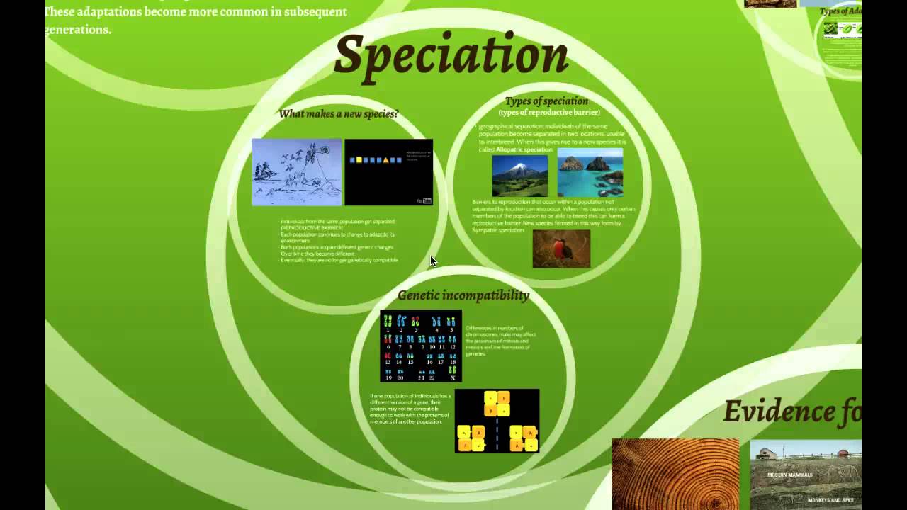 Ecology: Natural selection and Evolution - YouTube