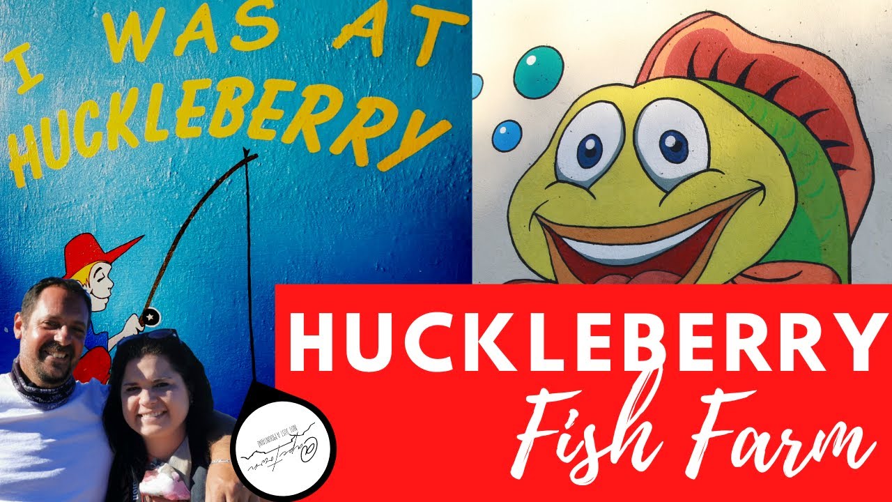 Fishing with the kids at Huckleberry Fish Farm, Cape Town | @AtCapeTown ...
