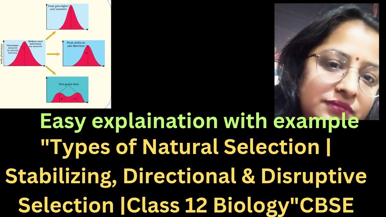 "Types of Natural Selection | Stabilizing, Directional & Disruptive ...