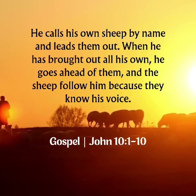 Fourth Sunday Of Easter I Am The Gate Of The Sheep John 10 1 10
