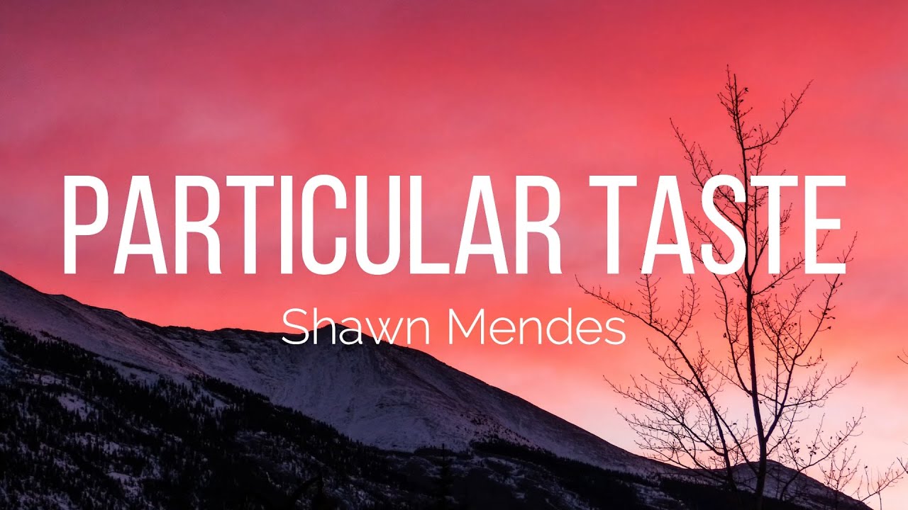 Shawn Mendes - Particular Taste (Lyrics) - YouTube