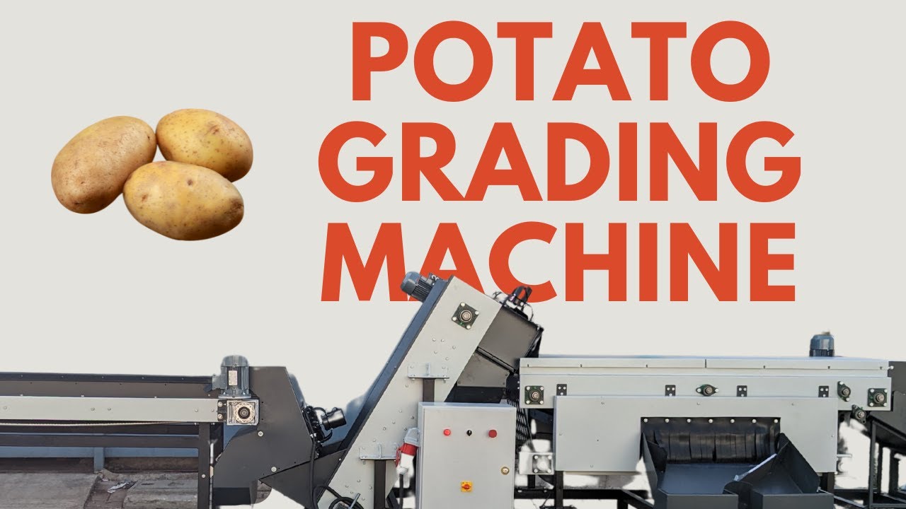 आलू ग्रेडिंग मशीन - GradeMini Potato grading machine - YouTube