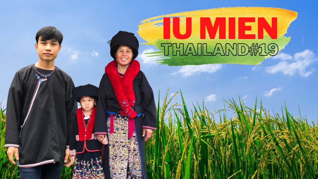 Iu Mien Thailand EP19 | Go to the Iu Mien plant farm in rain season ...