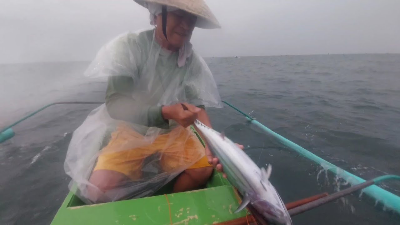 Handline Fishing | Catching Skipjack Tuna or Pawayan, Bariles, Budlisan ...