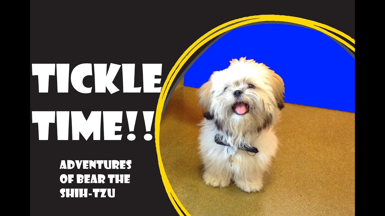 It's Tickle Time! - YouTube