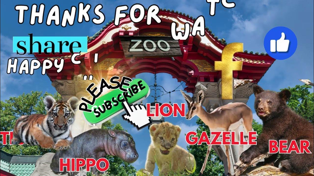 🐾 Baby Animal Zoo! | Learn Baby Animal Names & Sounds | Fun ...