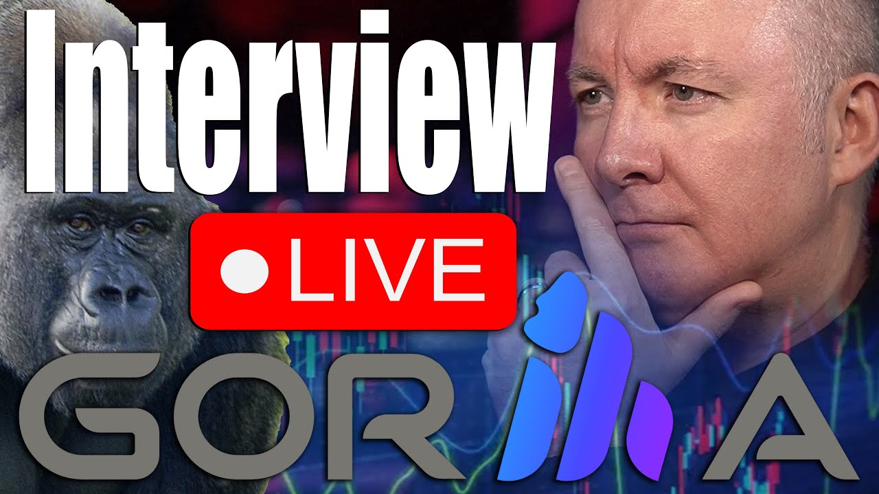 GRRR Stock - Gorilla Technology Group MEET THE CEO! Martyn Lucas Investor - YouTube