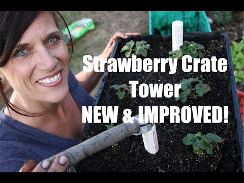 How to Build a Strawberry Crate Tower -NEW AND IMPROVED! - YouTube