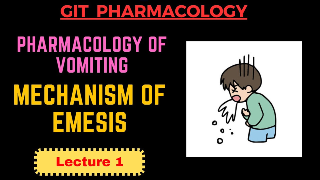 Emesis (CTZ and Vomiting center) - GIT Pharmacology - Mechanism of ...