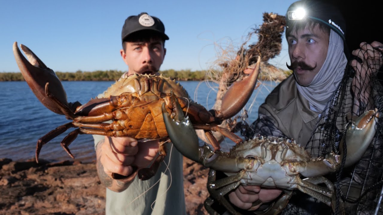 How to Catch Giant Mud Crabs | Fishing Catch and Cook - YouTube