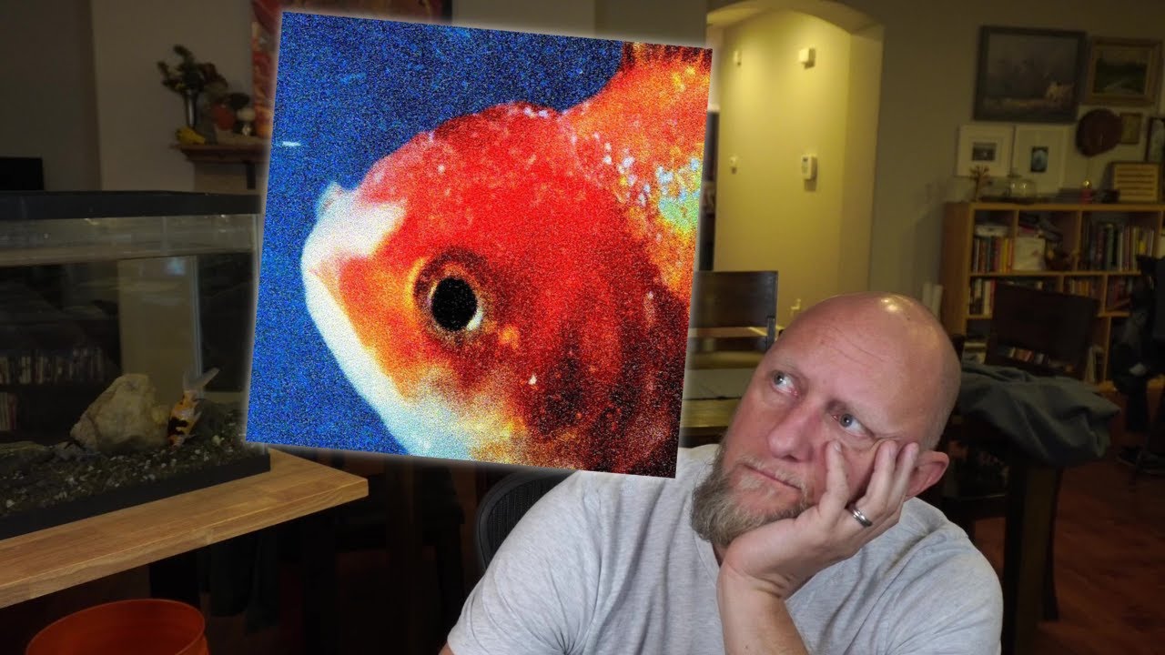 Additional Thoughts on "Big Fish Theory" - YouTube