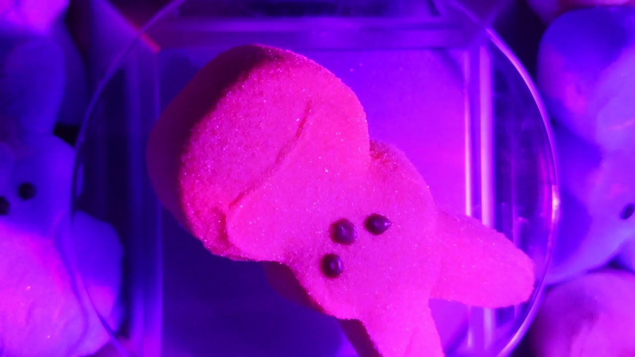 Peep the World Burn - YouTube