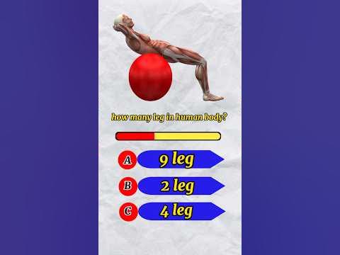 How Many Leg In human body? 🤔#quiz #shorts - YouTube