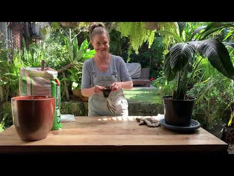 Recycling Dinner Ladies Gel Ice Packs for Your Garden