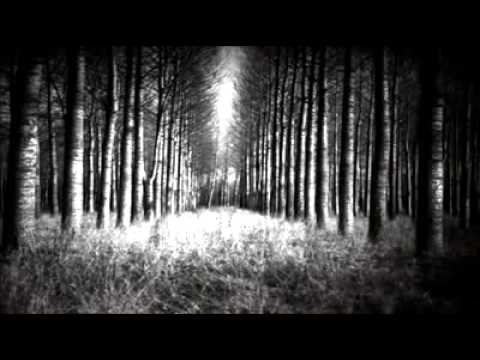 Sombres Forêts - The Forest (DSBM) - YouTube