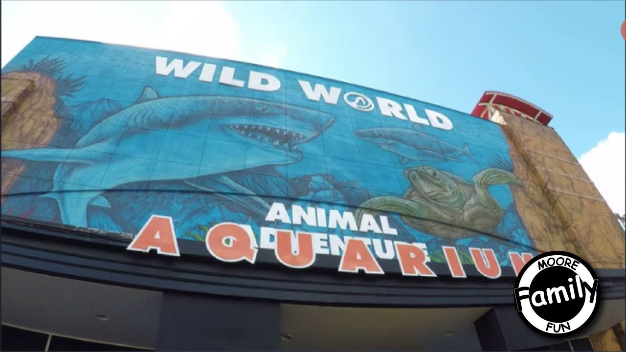 Branson's Wild World | Branson Missouri - YouTube