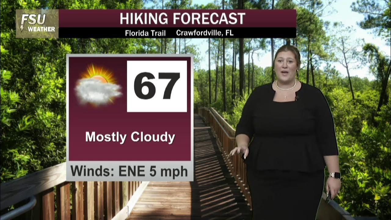 FSU Weather - Tuesday, January 28th - YouTube