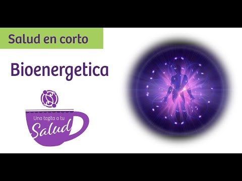 ¿Qué es la bioenergética y para qué sirve? - YouTube