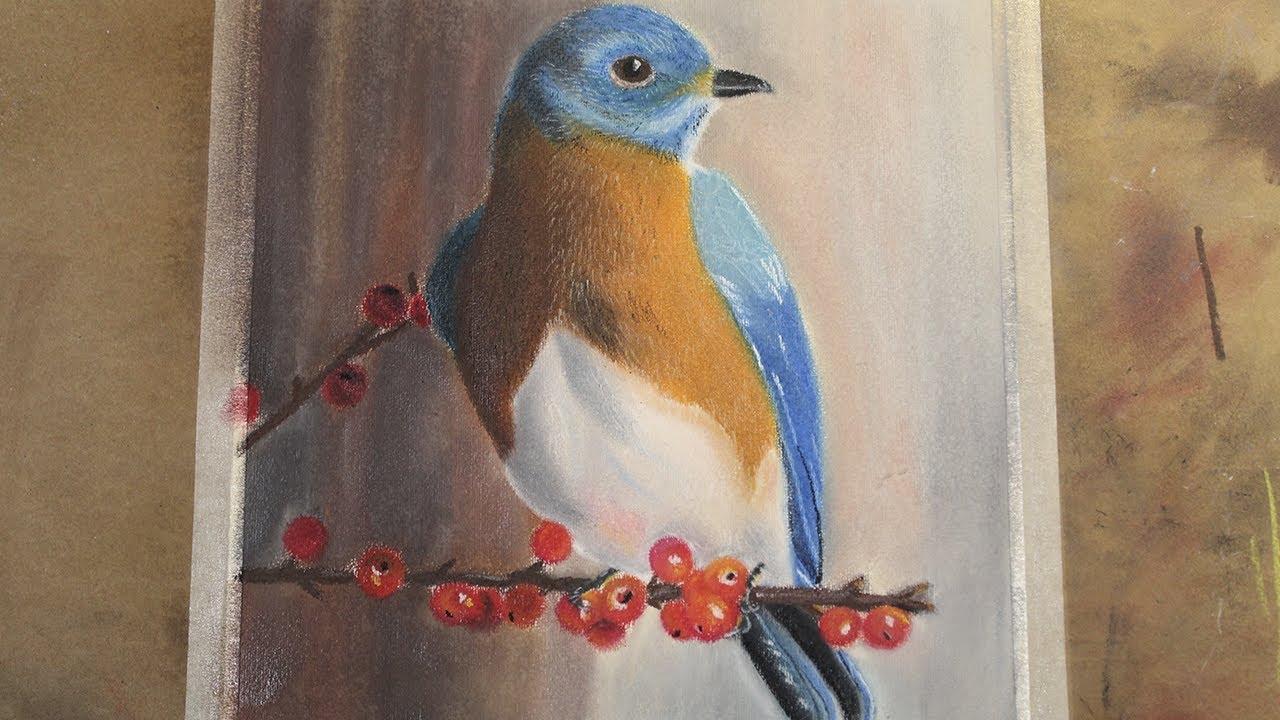 Time Lapse - Chalk Art (Blue Bird) - YouTube