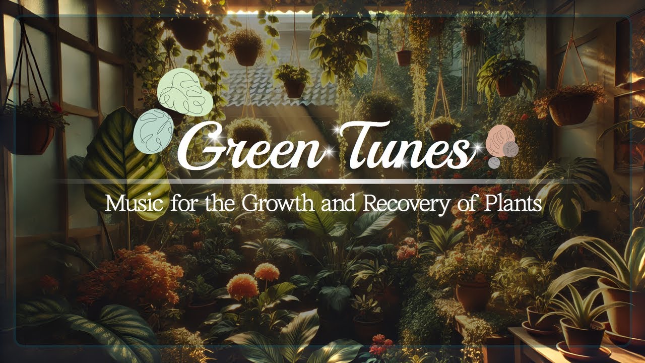 [For plants]🌿A Collection of Music for Promoting Plant Health and ...