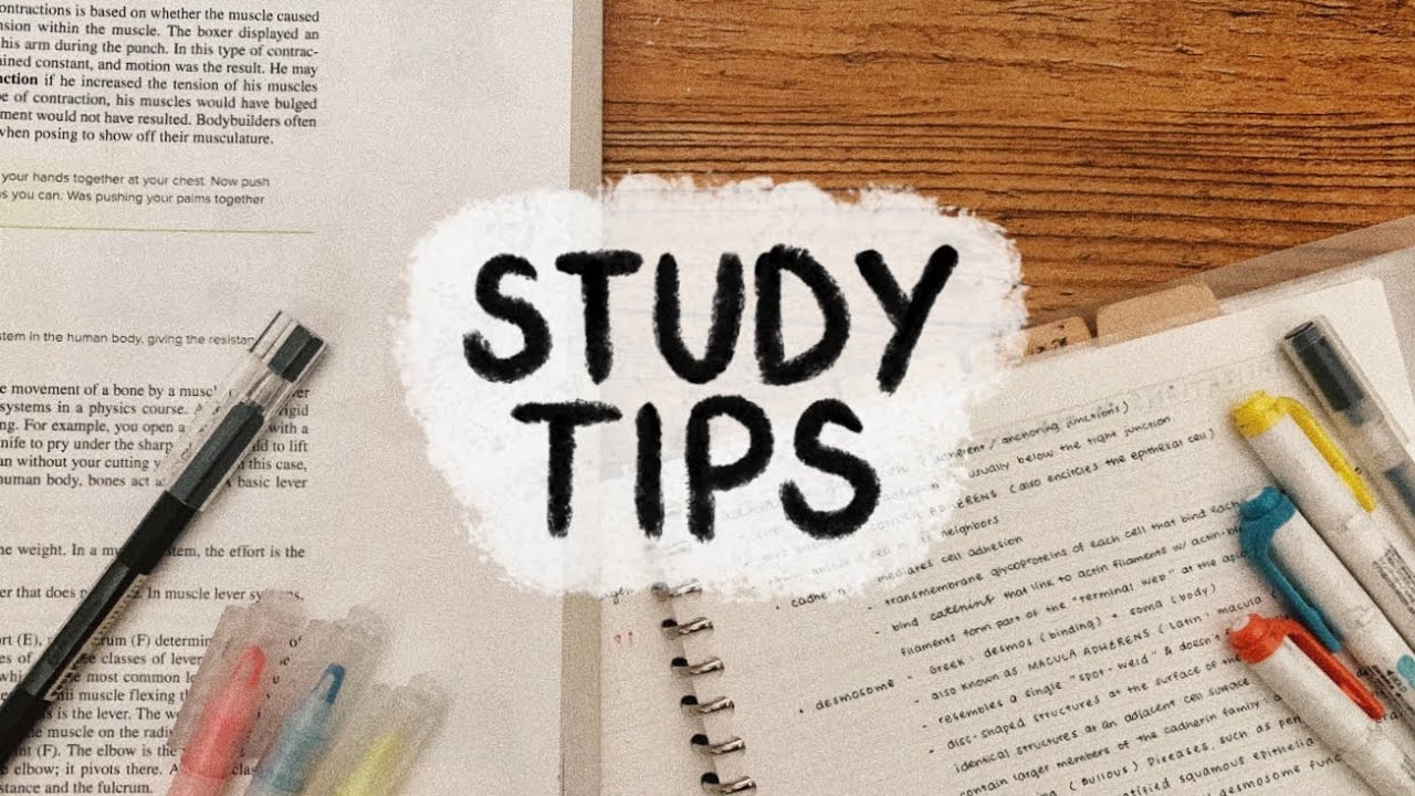 How To Study Efficiently Study Tips From A Pre Med Student ust How To Study Efficiently Study Tips From A Pre Med Student ust
