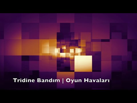 Tridine Bandım| Enstrumental Oyun Havaları | Yeme de Yanında Yat - YouTube
