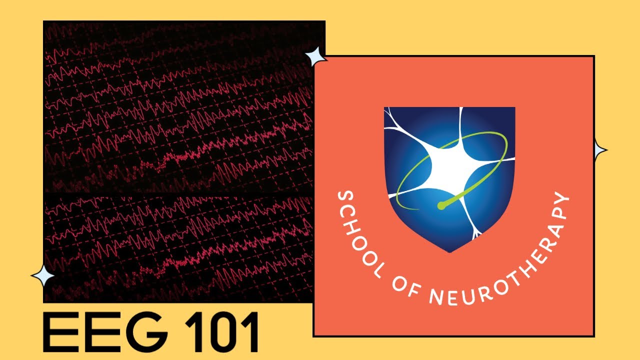 EEG 101 - YouTube