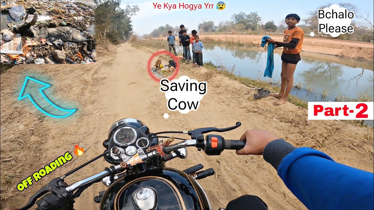Off-Roading on Bullet 350 🔥 | Saving Cow From Water 😰🚨 | Royalenfield ...