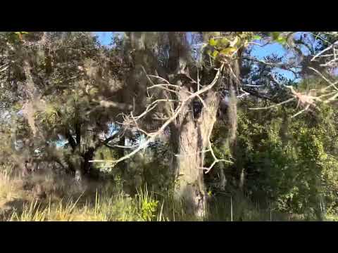 Jessica Lot Port Charlotte