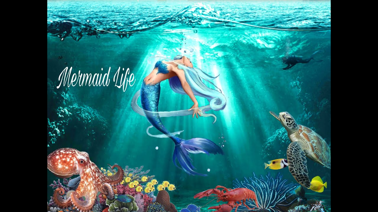 Mermaids Life 🐠🐟🧜‍♀️ - YouTube